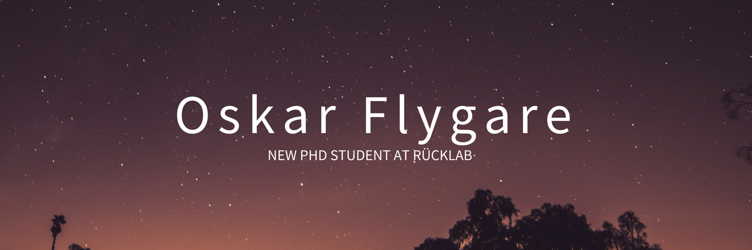 New PhD student at Rücklab: Oskar Flygare – Rücklab – Psychiatry research at Karolinska Institutet