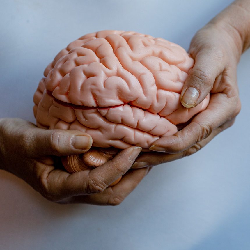 PhD student and psychologist wanted for Maria’s intensive treatment for ...